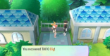 Pokemon Let's Go | Dig (TM 10) : Move Stats, Pokemon & Where to Get ...