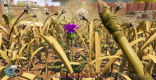 Grounded | Bratburst - How To Get & Ingredients - GameWith