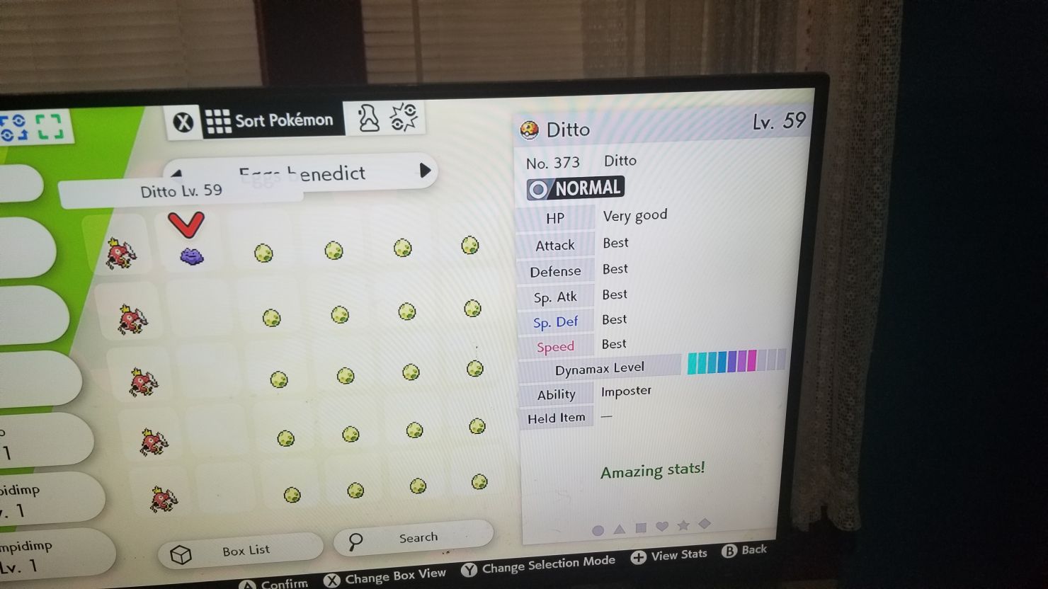 Best IV Ditto Trading Forum | Pokemon Sword Shield - [17 Page] - GameWith