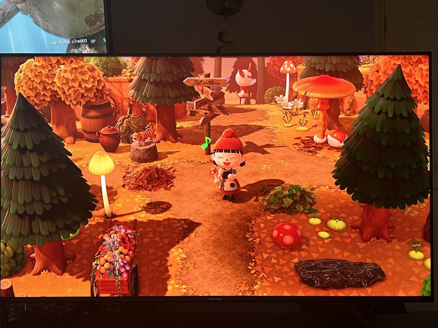 ACNH | Dream Address Exchange Forum | Animal Crossing - GameWith