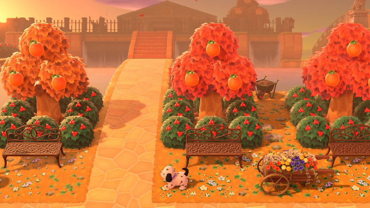 ACNH | Dream Address Exchange Forum | Animal Crossing - GameWith