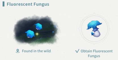Fluorescent Fungus Locations, How To Get & Where To Farm | Genshin Impact - GameWith