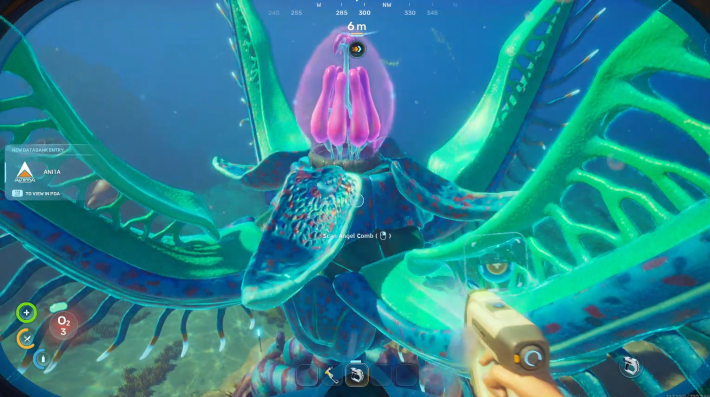 Subnautica 2 | Angel Comb Guide - All Adaptations and Locations - GameWith