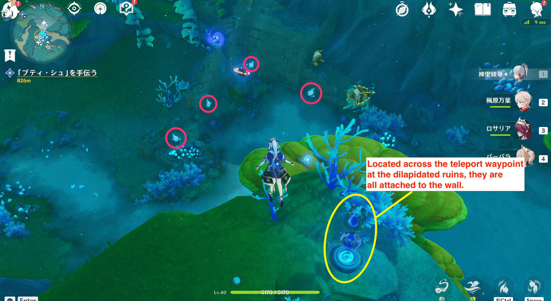 Genshin Impact | Beryl Conch Location & How To Get - GameWith