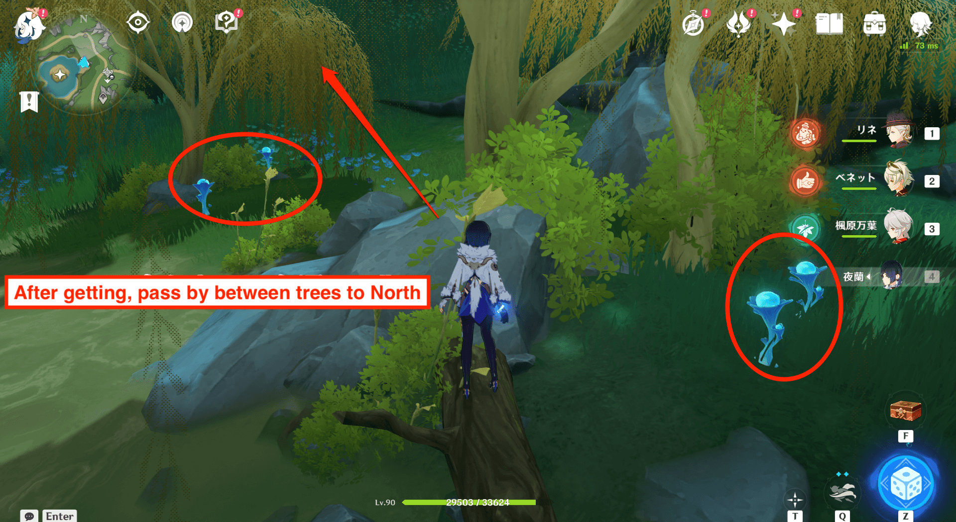 Genshin Impact | Lakelight Lily Location & Farm Routes - GameWith