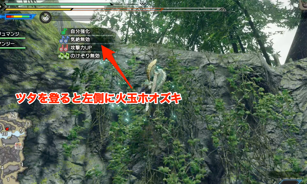 Sunbreak | Wisplantern - How To Get | Monster Hunter Rise - GameWith