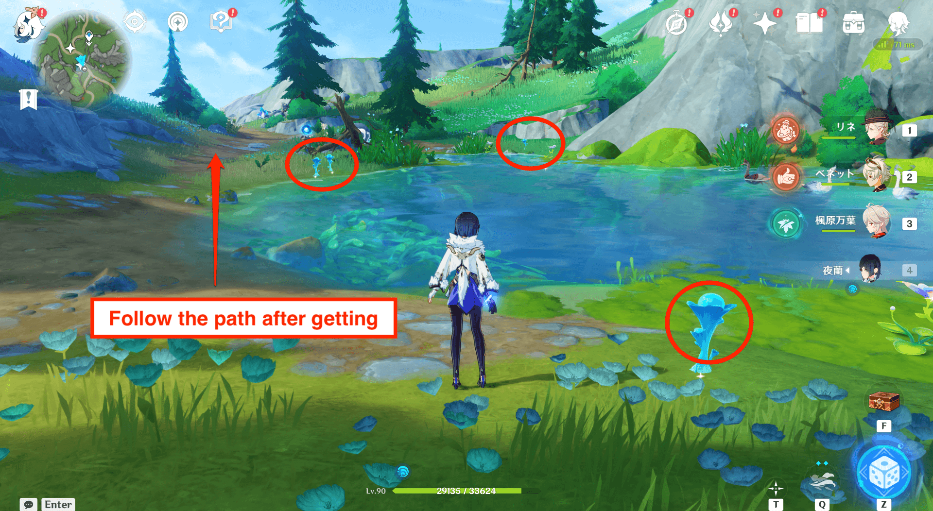 Genshin Impact | Lakelight Lily Location & Farm Routes - GameWith