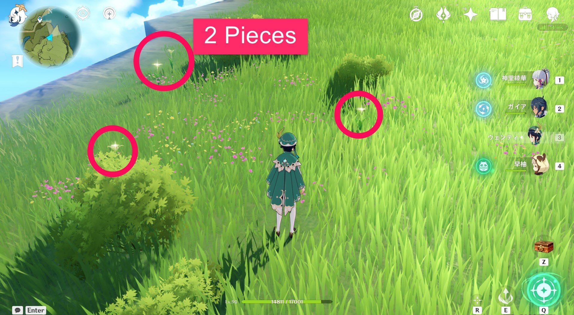 Genshin Impact | Cecilia Location & Farming Route - GameWith