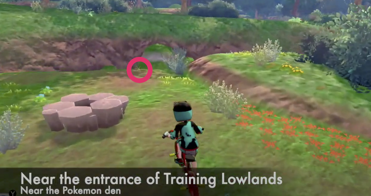 Isle Of Armor | Forest of Focus (Wild Area) - Pokemon Spawn Location ...