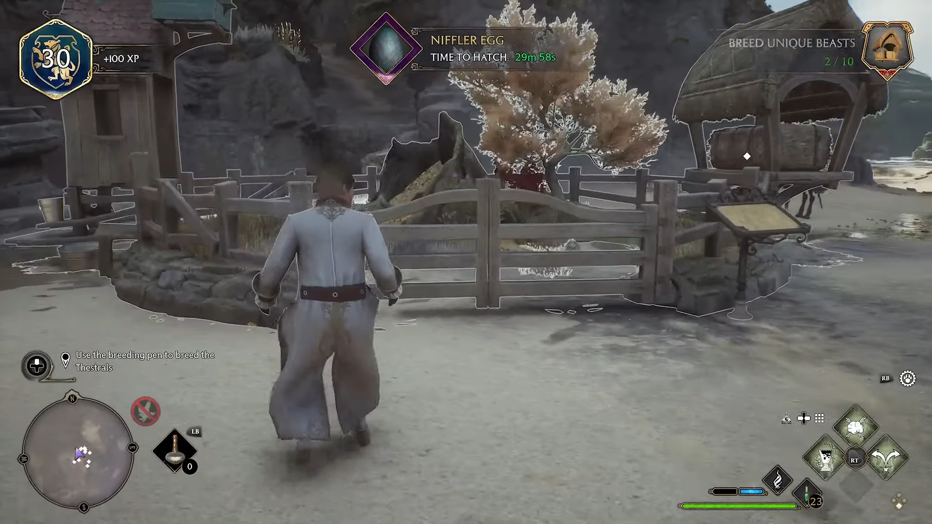 Hogwarts Legacy | Breeding Pen (Vivarium) Guide - How To Get & Use ...