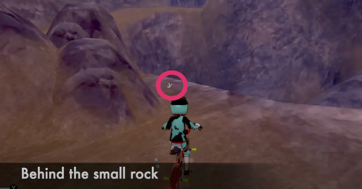 Isle Of Armor | Brawlers Cave (Wild Area) - Pokemon Spawn Location | Pokemon Sword and Shield ...