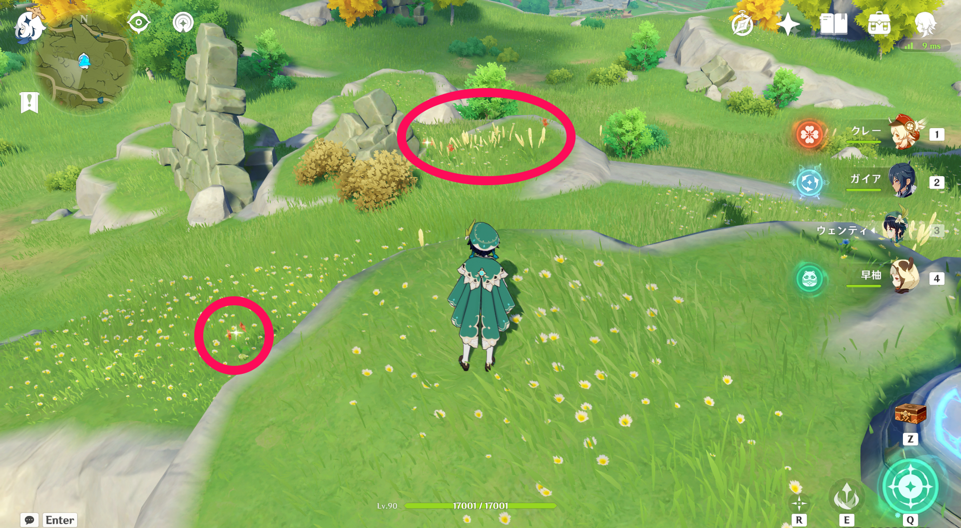 Genshin Impact | Windwheel Aster Location & Farming Route - GameWith