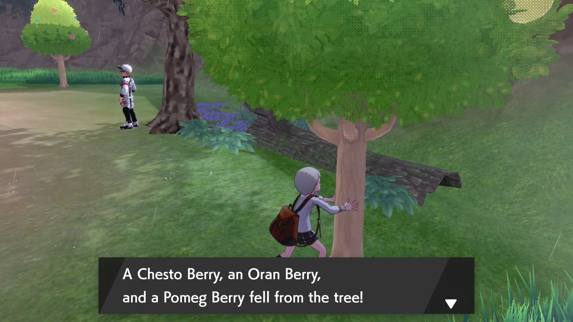 Oran Berry - How To Get | Pokemon Sword Shield - GameWith
