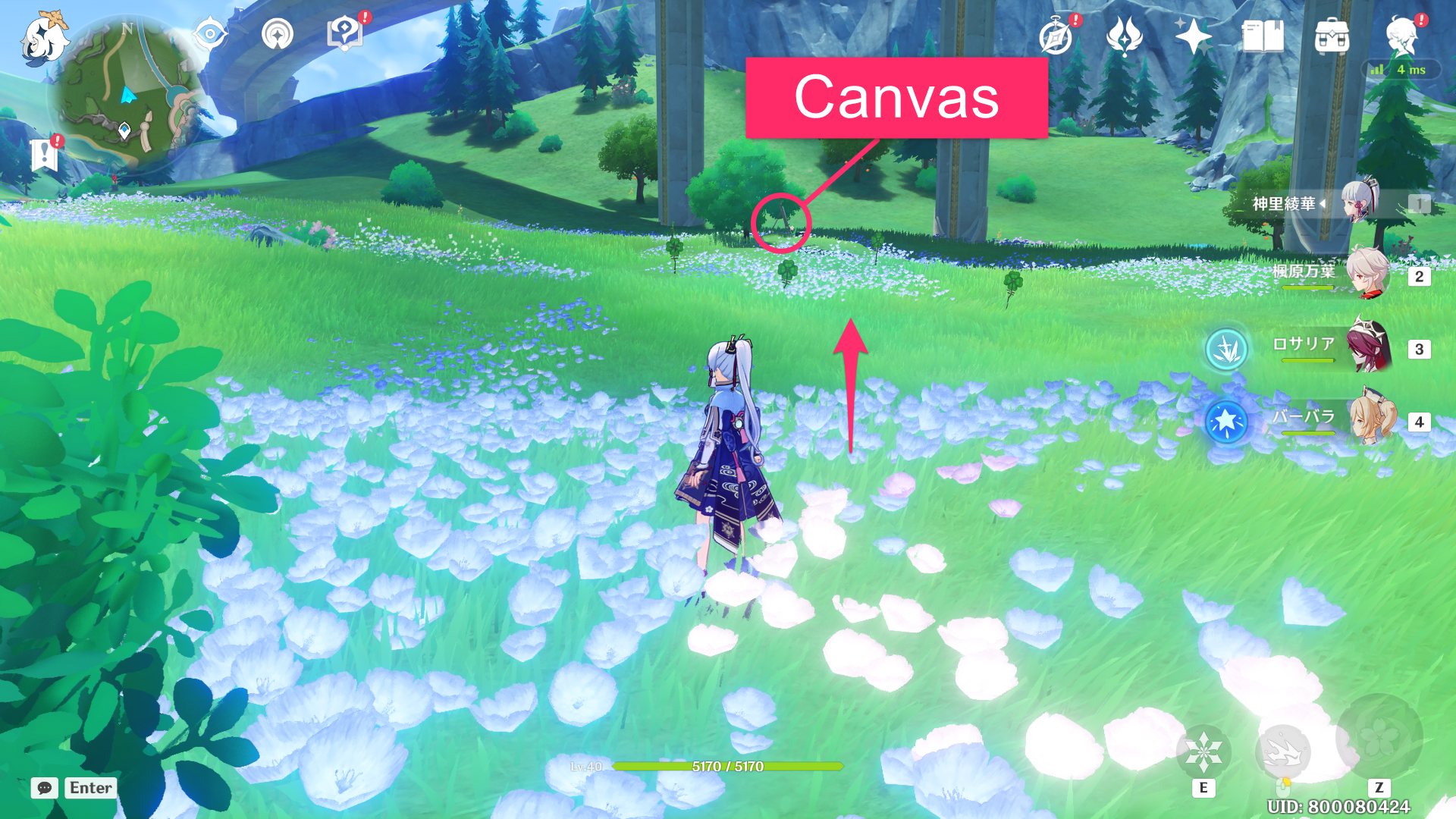 Genshin Impact | Rainbow Rose Location & How To Get - GameWith