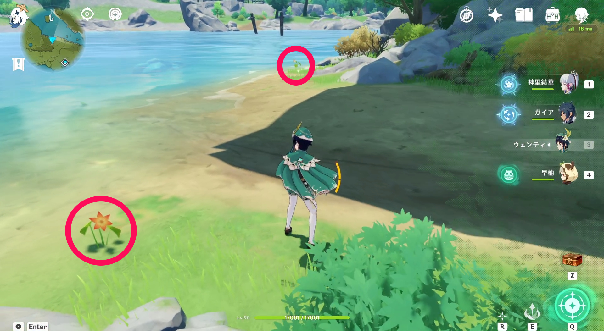 Genshin Impact | Calla Lily Location & Farming Route - GameWith