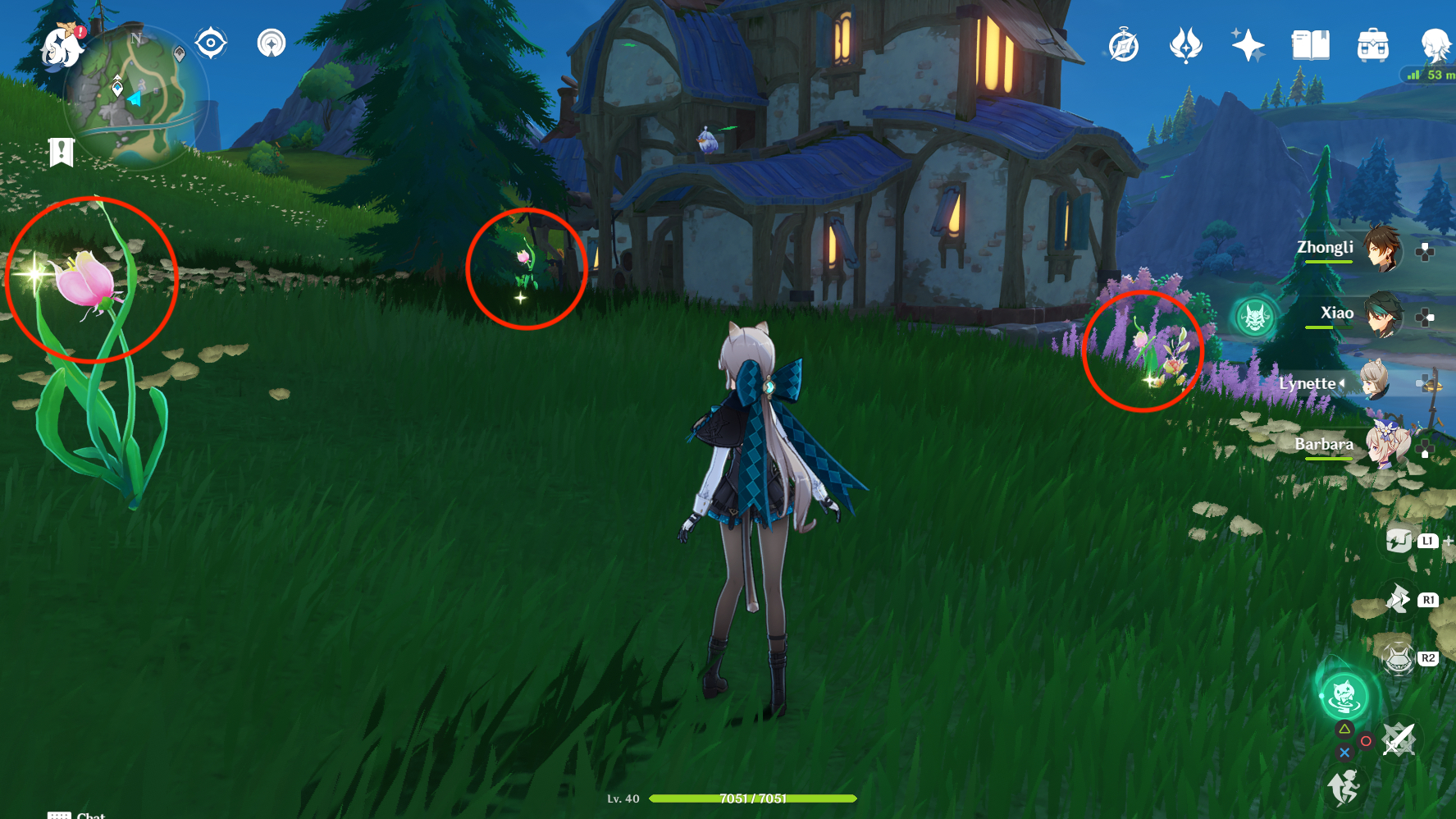 Genshin Impact | Rainbow Rose Location & How To Get - GameWith