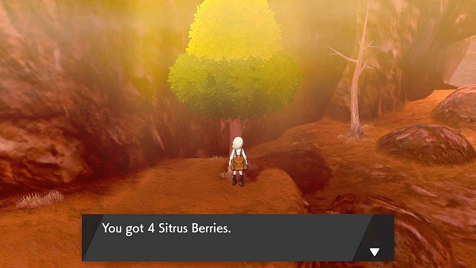 Sitrus Berry - How To Get | Pokemon Sword Shield - GameWith