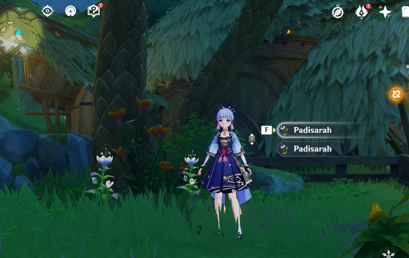 Genshin Impact | Padisarah Location & Farm Routes - GameWith