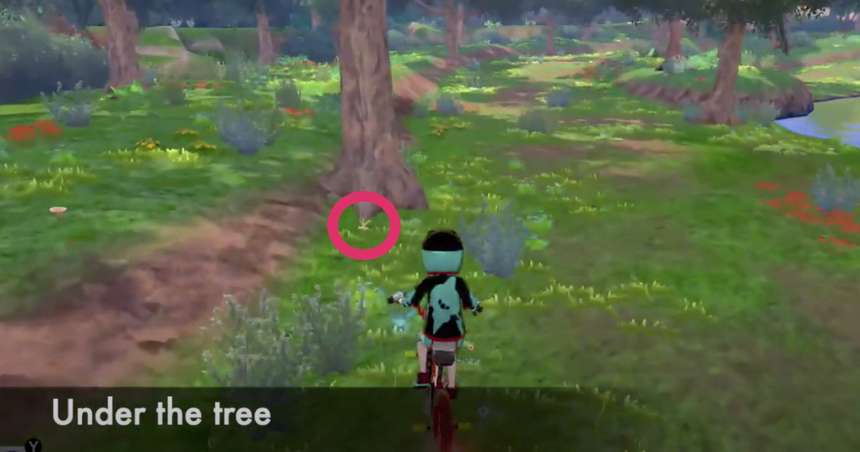 Isle Of Armor | Forest of Focus (Wild Area) - Pokemon Spawn Location ...