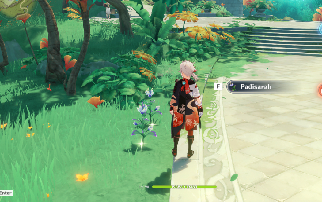 Genshin Impact | Padisarah Location & Farm Routes - GameWith