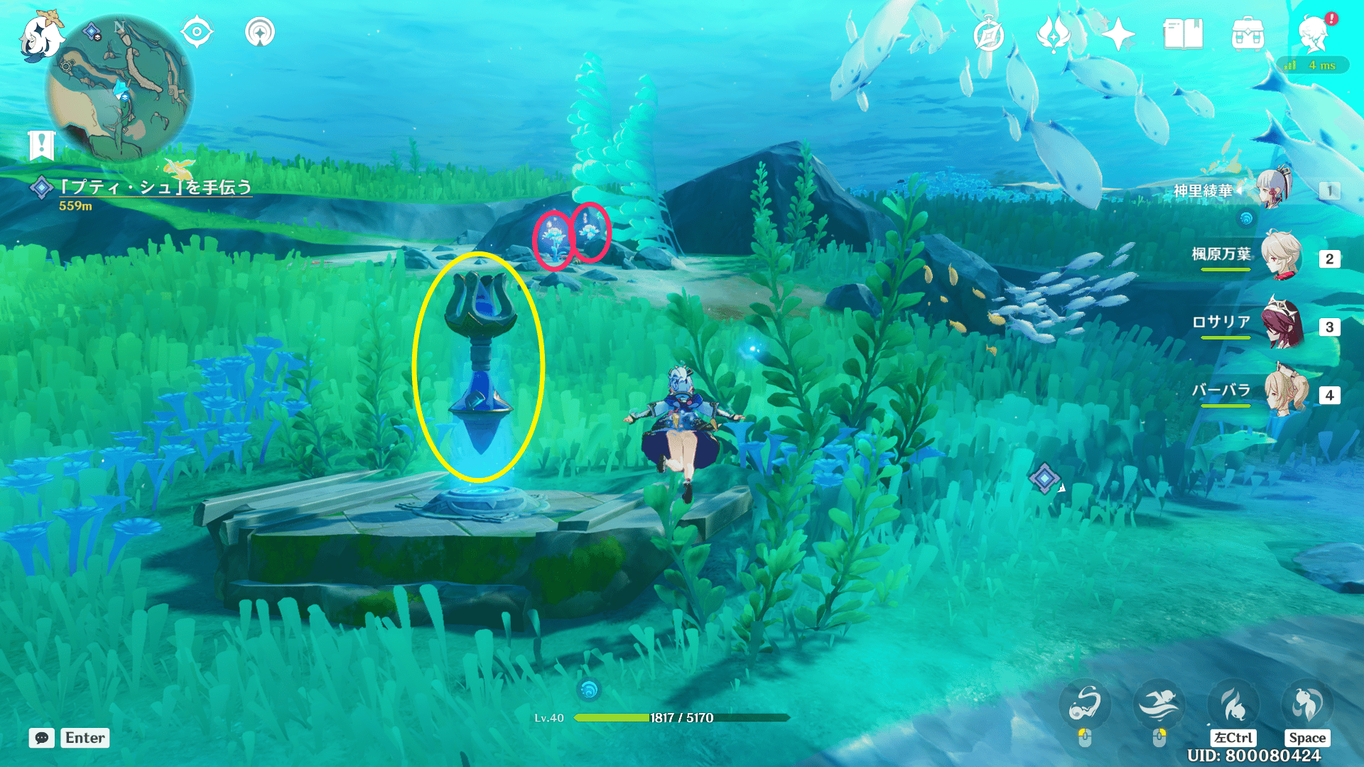 Genshin Impact | Romaritime Flower Location & How To Get - GameWith