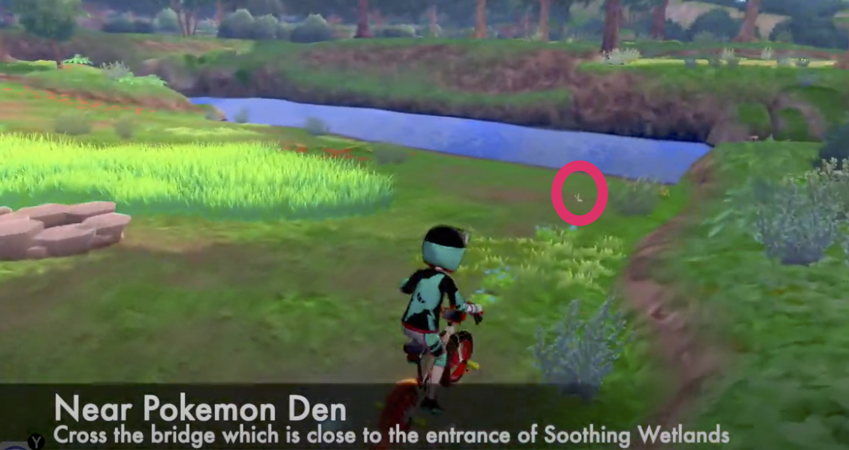 Isle Of Armor | Forest of Focus (Wild Area) - Pokemon Spawn Location ...