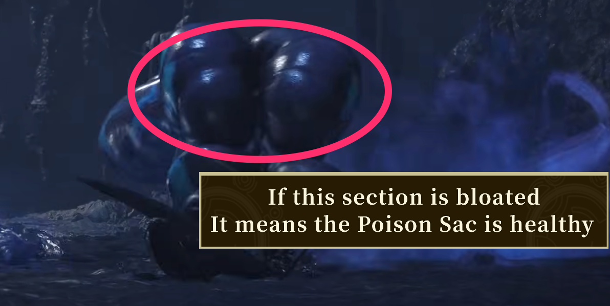 MH Wilds | Rompopolo Guide - Weakness, Drops, and How to Unlock ...