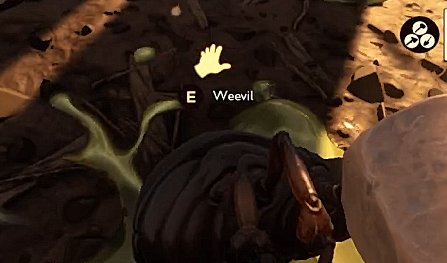 Grounded | Weevil Nose - How To Get & Ingredients - GameWith