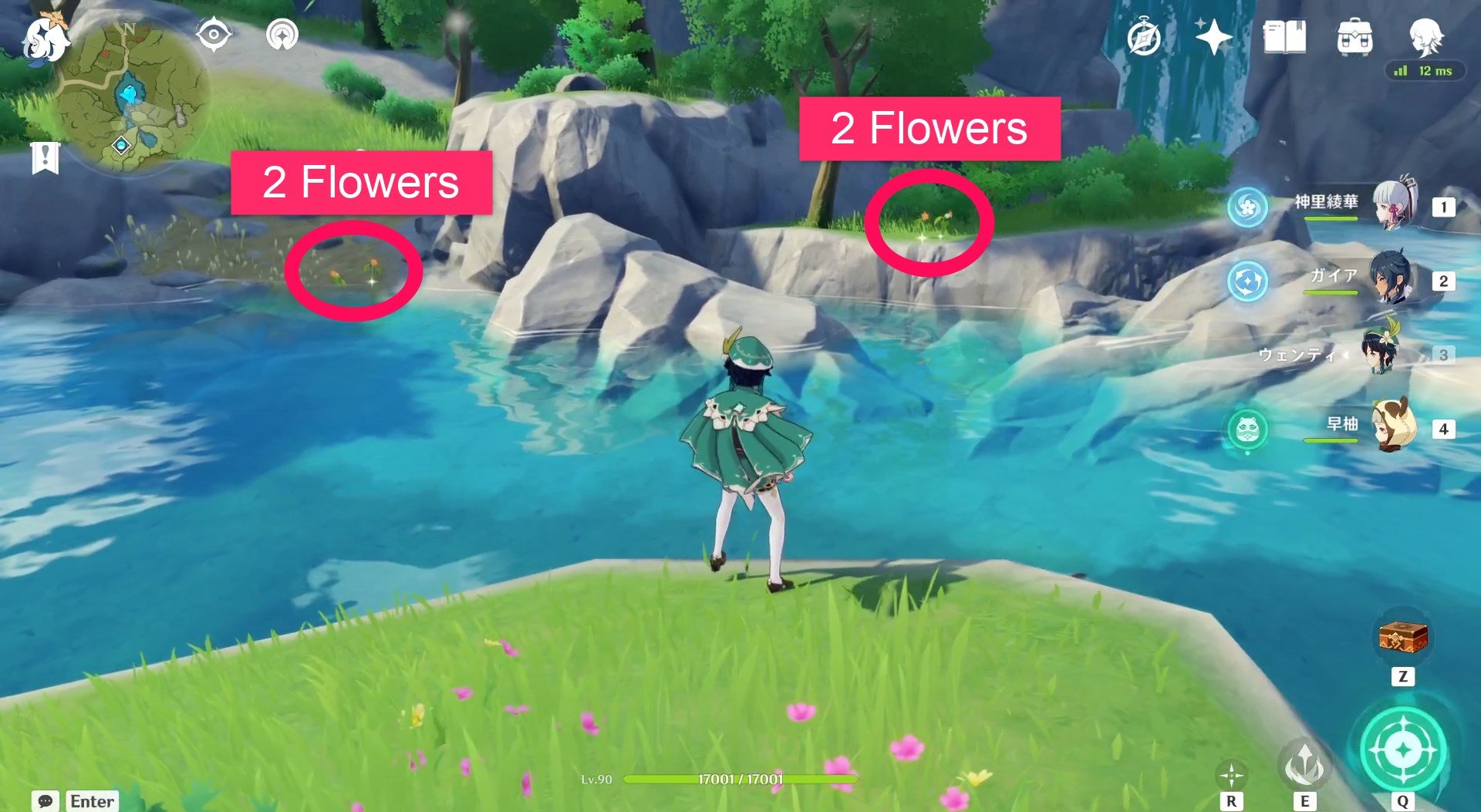 Genshin Impact | Calla Lily Location & Farming Route - GameWith