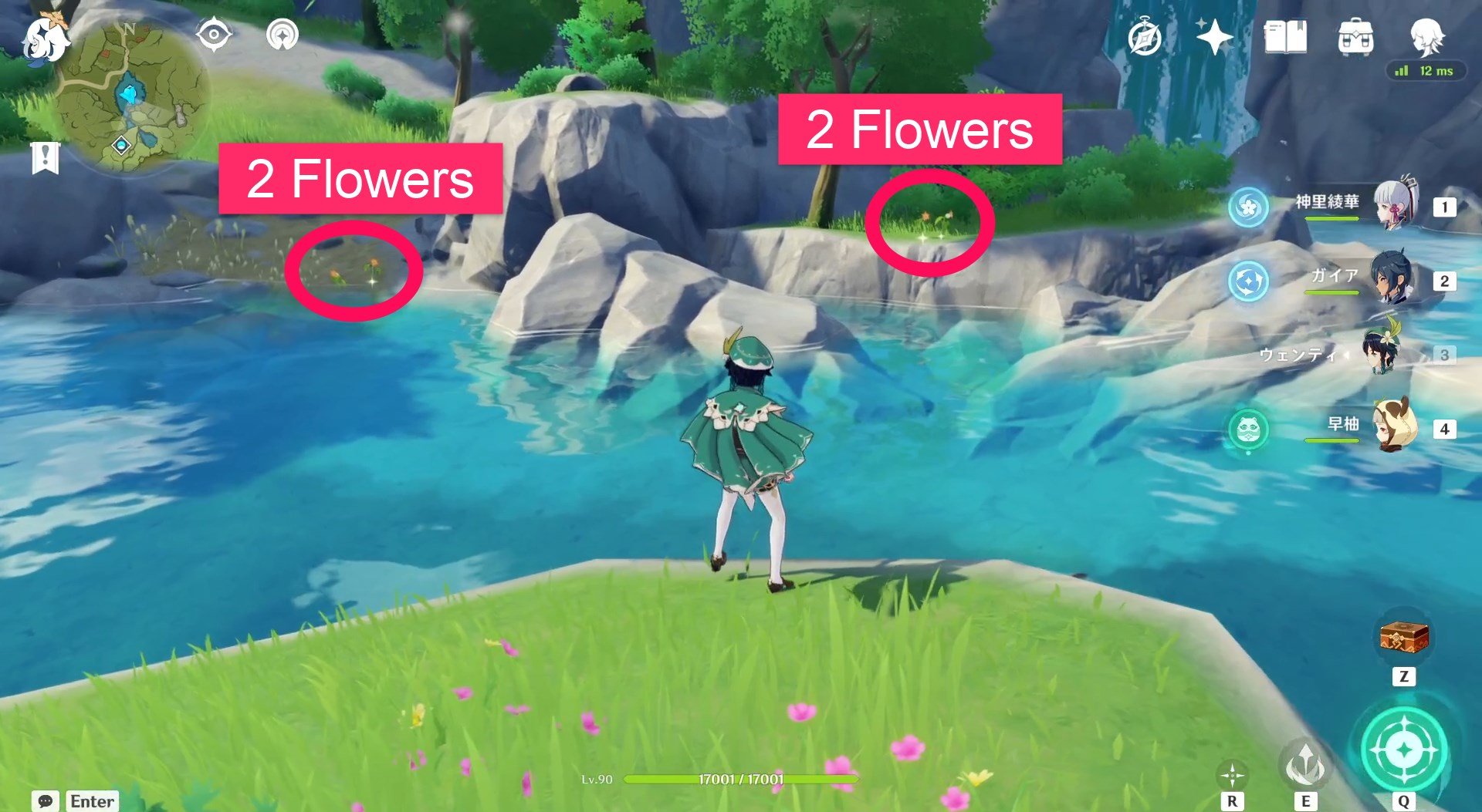 Genshin Impact | Calla Lily Location & Farming Route - GameWith