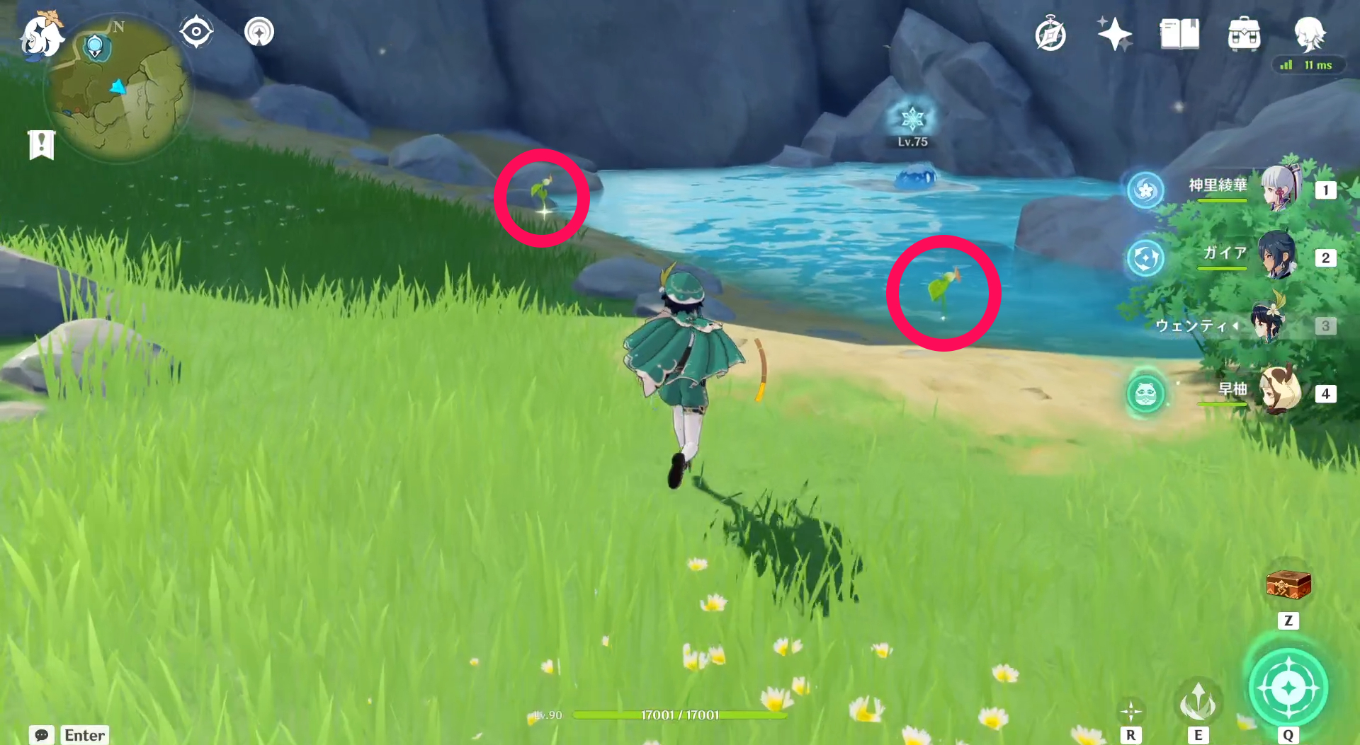 Genshin Impact | Calla Lily Location & Farming Route - GameWith