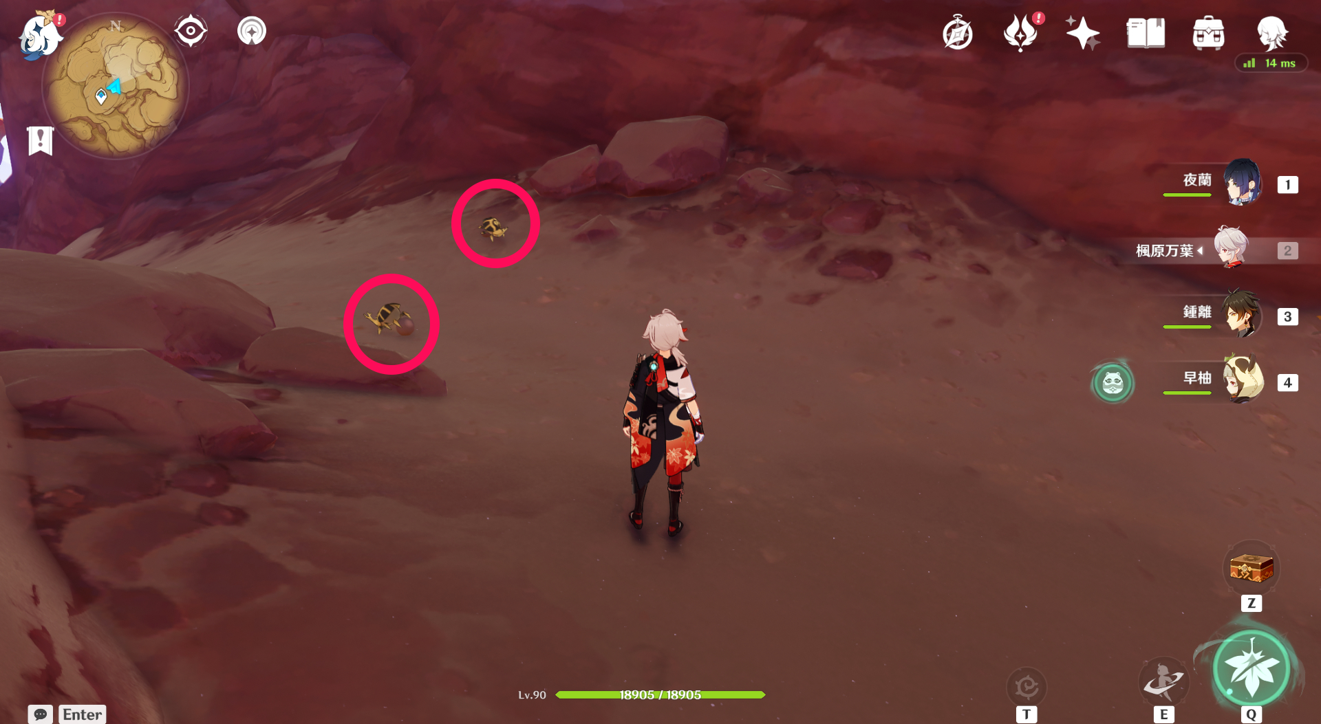 Genshin Impact | Scarab Location & Farming Routes - GameWith