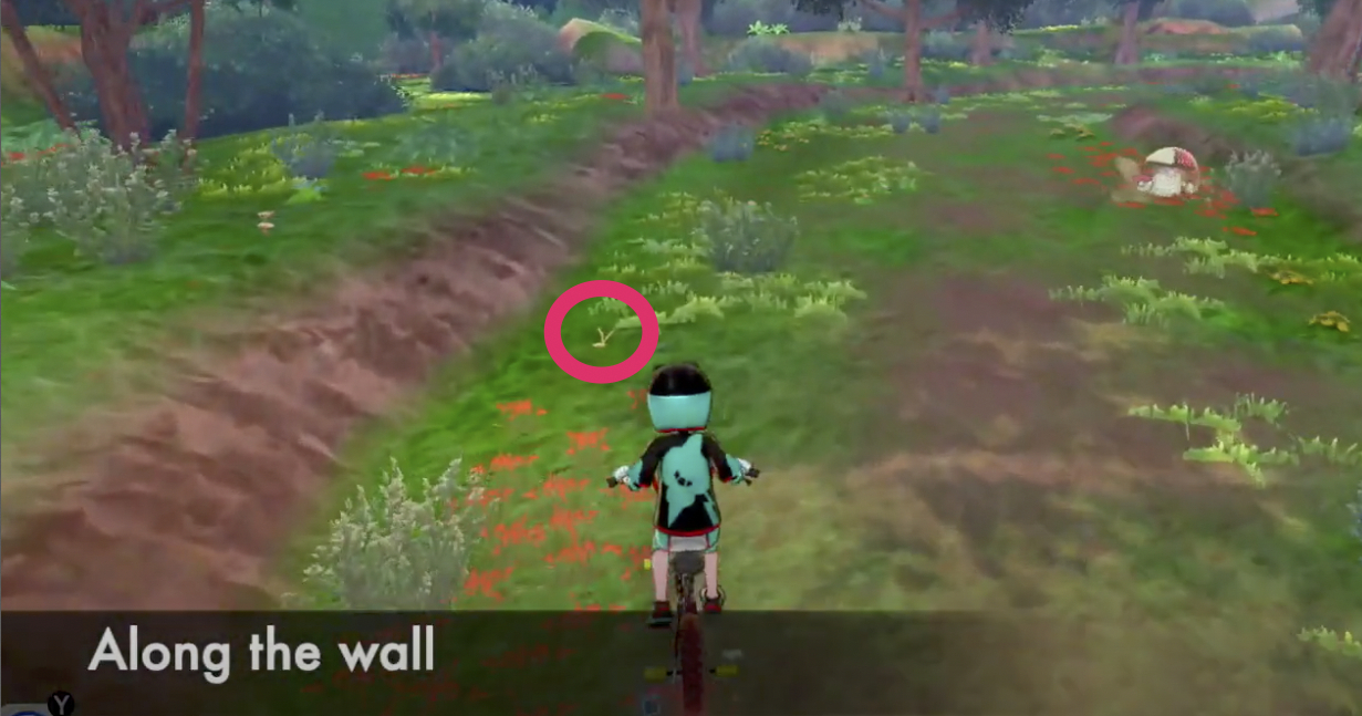 Isle Of Armor | Forest of Focus (Wild Area) - Pokemon Spawn Location ...