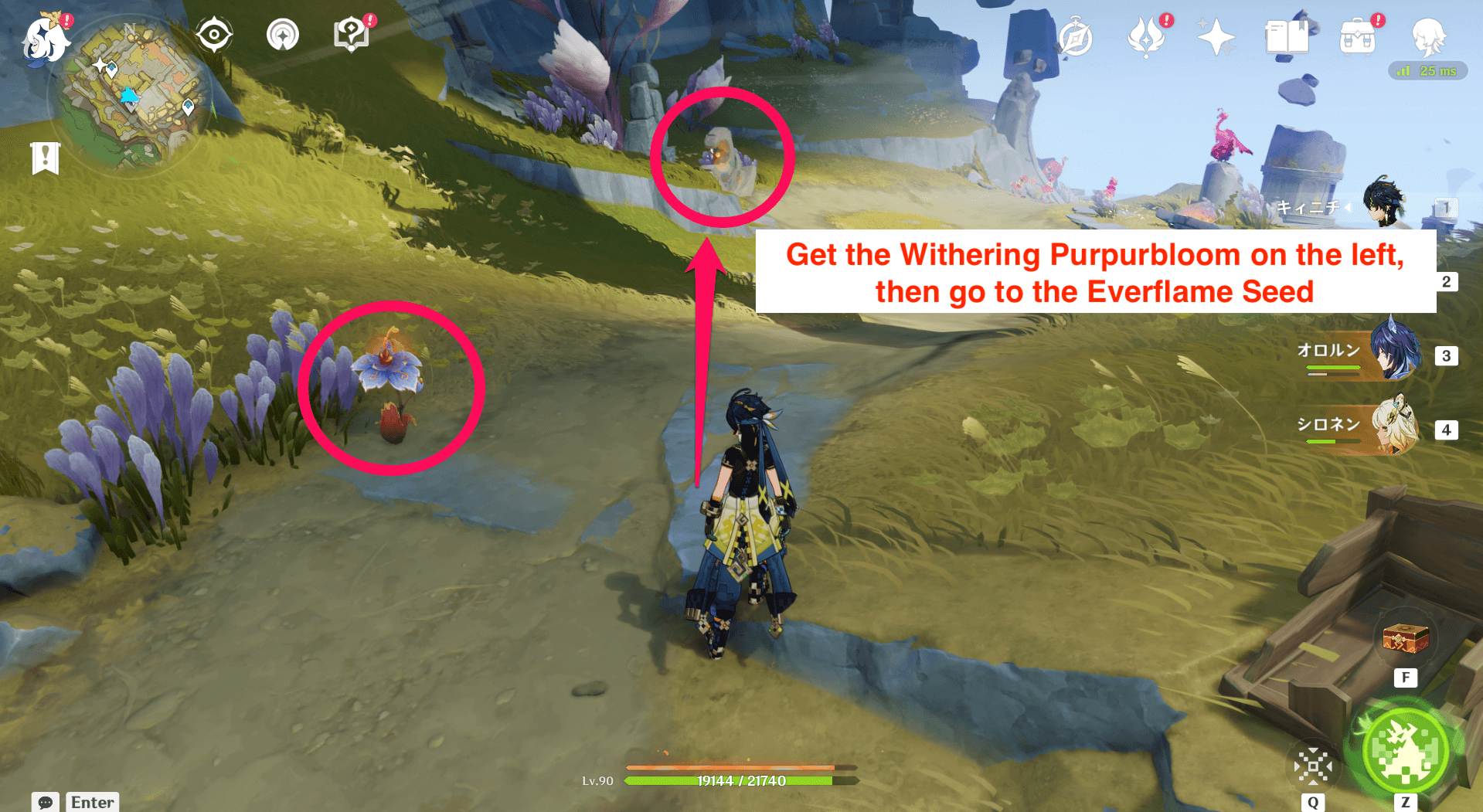 Genshin Impact | Withering Purpurbloom Location & How To Get - GameWith