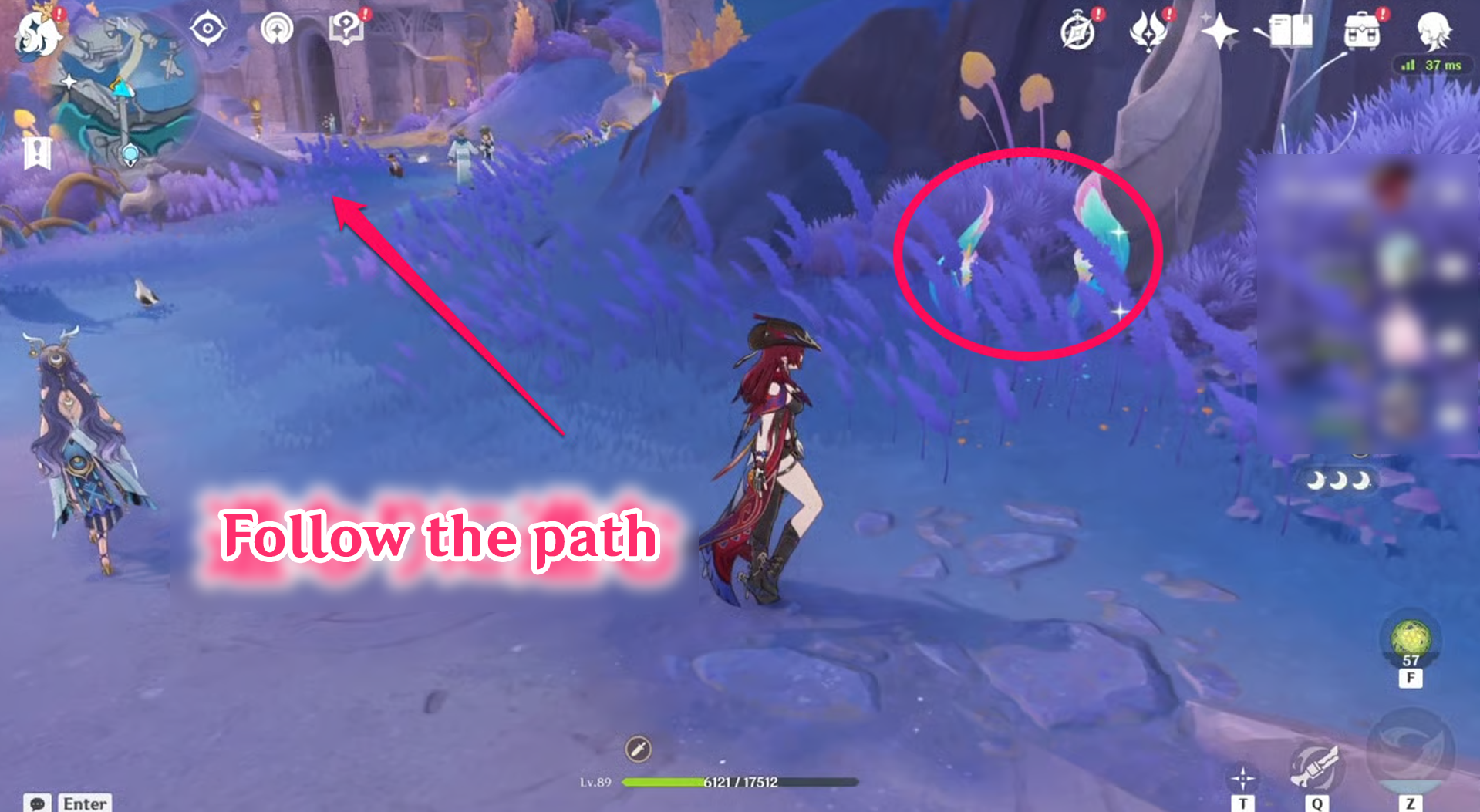 Genshin Impact | Frostlamp Flower Location & How To Get - GameWith