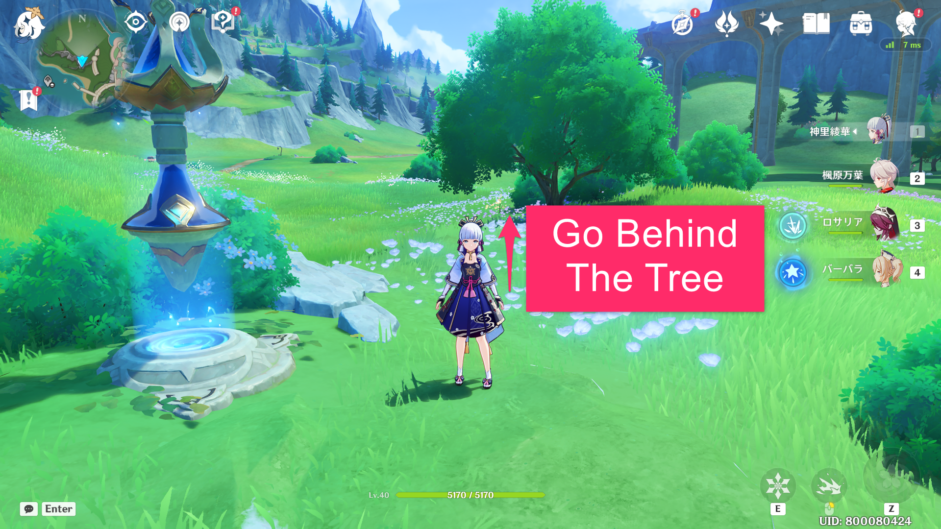 Genshin Impact | Rainbow Rose Location & How To Get - GameWith