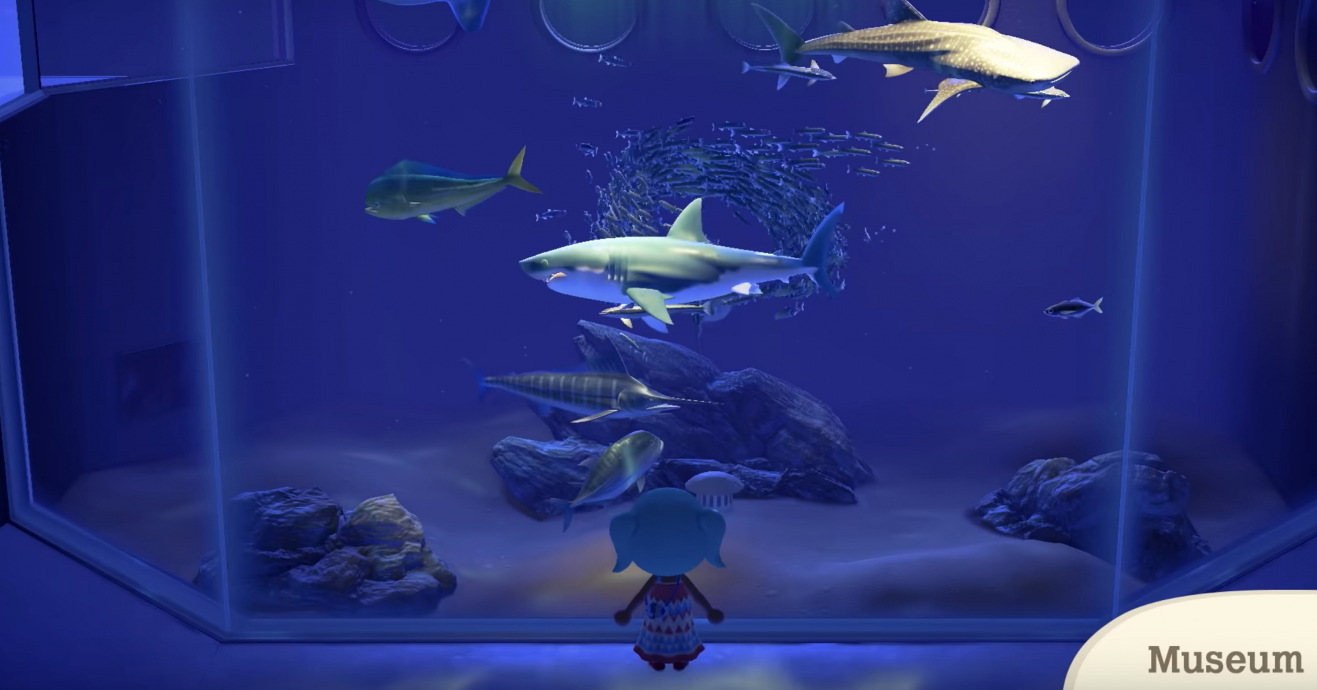 ACNH | Nintendo Direct - New Gameplay Features | Animal Crossing - GameWith