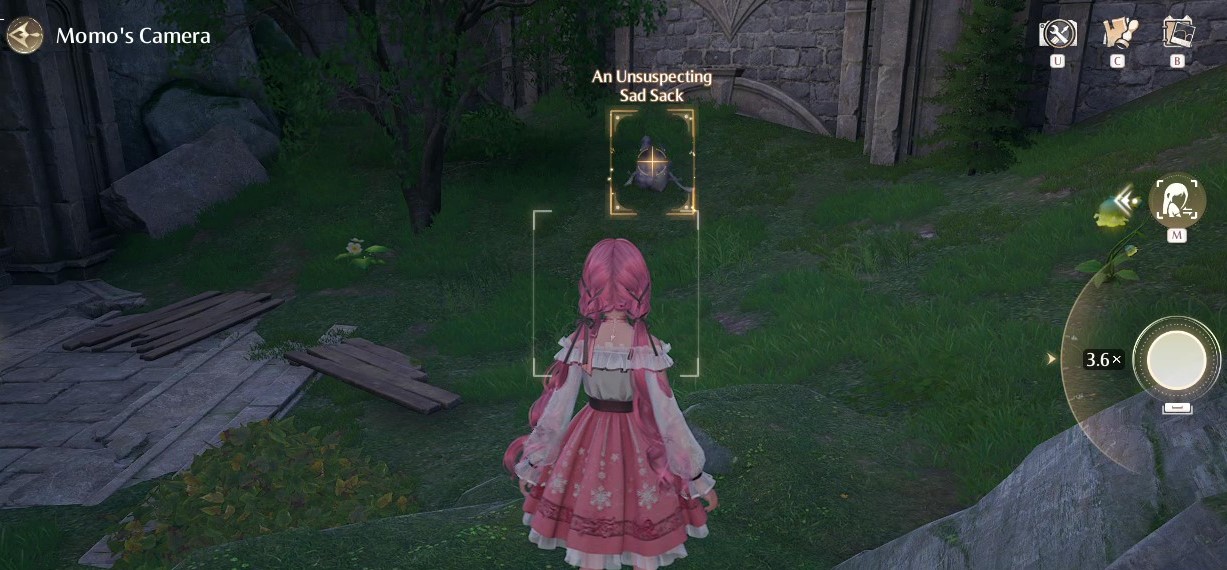 Infinity Nikki | Risky Photography: Sad Sack Guide - Walkthrough and ...