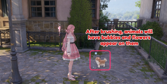 Infinity Nikki | How to Groom Animals - GameWith