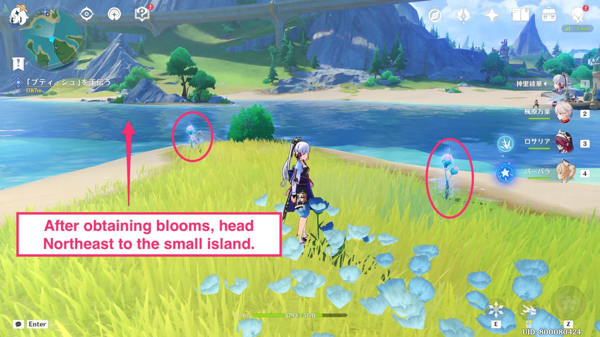 Genshin Impact | Romaritime Flower Location & How To Get - GameWith