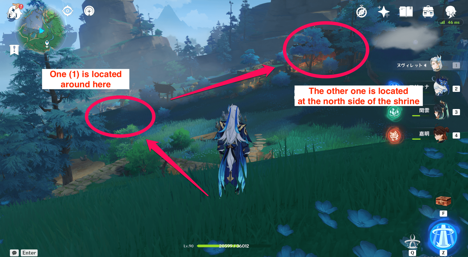 Genshin Impact | Cryo Cicin Mage Location & Drops - GameWith