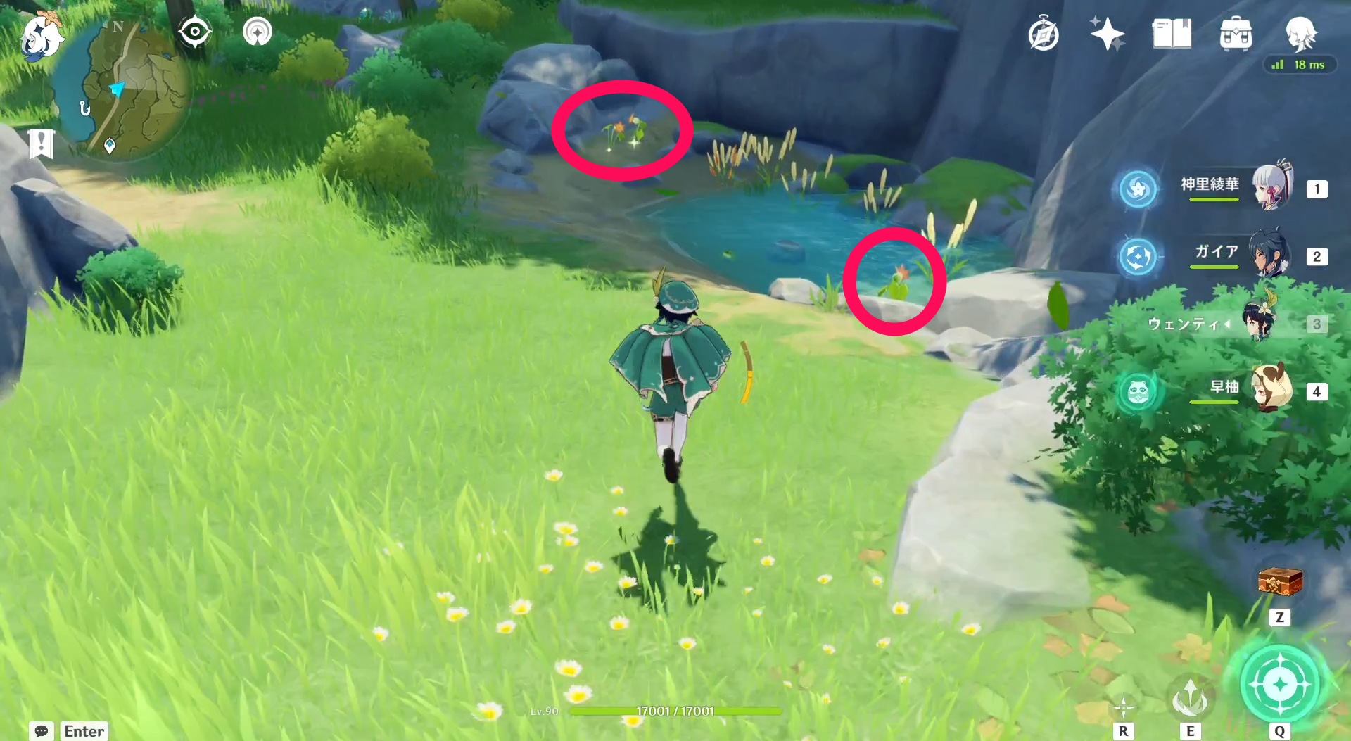 Genshin Impact | Calla Lily Location & Farming Route - GameWith