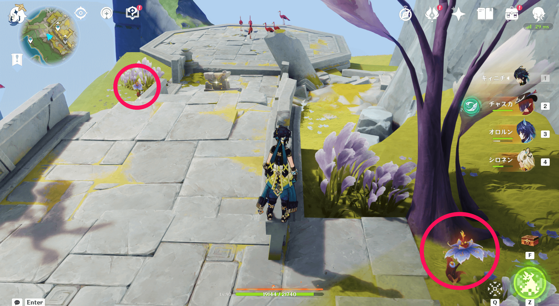 Genshin Impact | Withering Purpurbloom Location & How To Get - GameWith