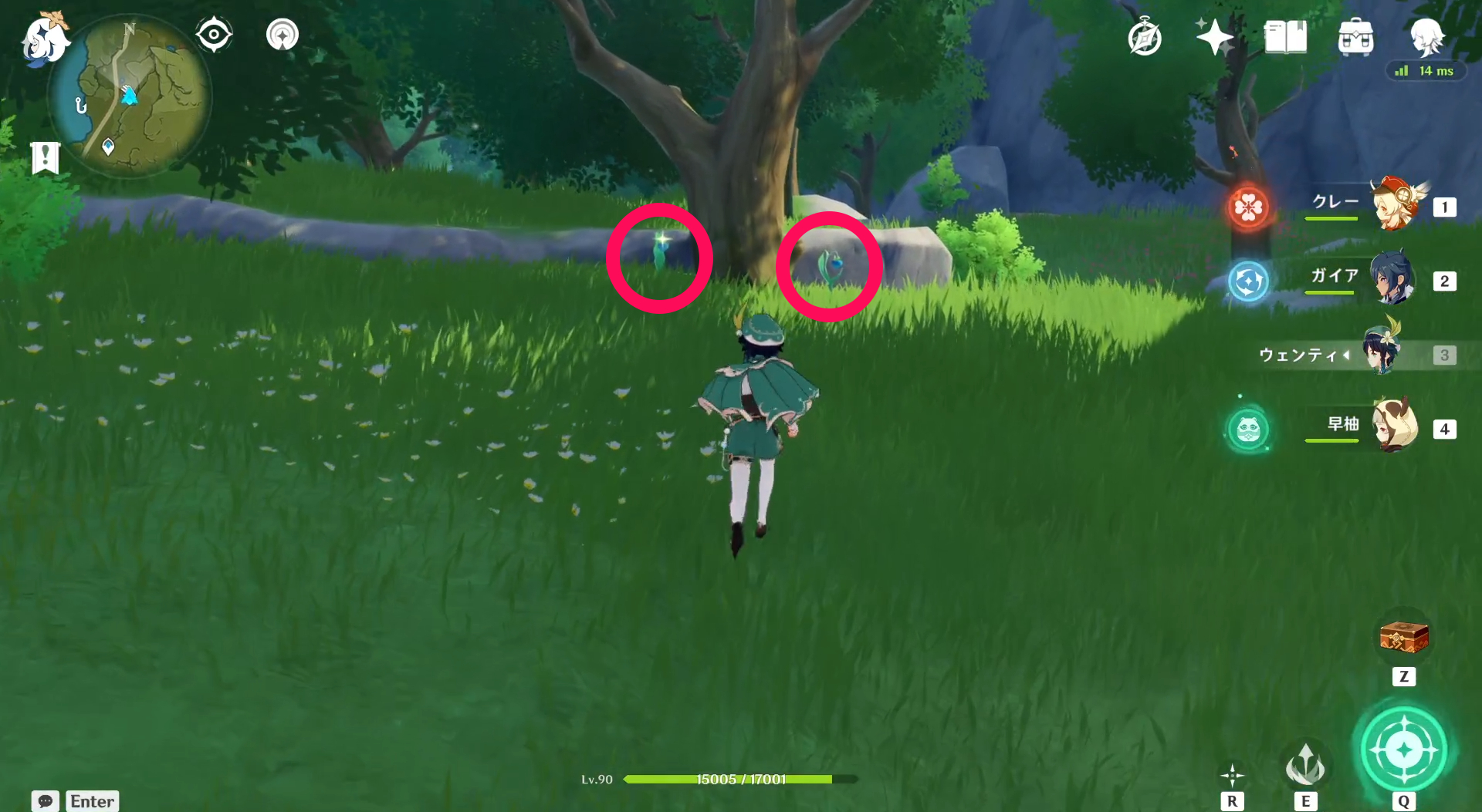 Genshin Impact | Small Lamp Grass Location & Farming Route - GameWith