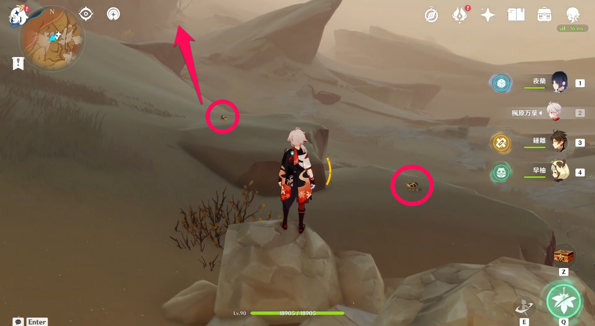 Genshin Impact | Scarab Location & Farming Routes - GameWith