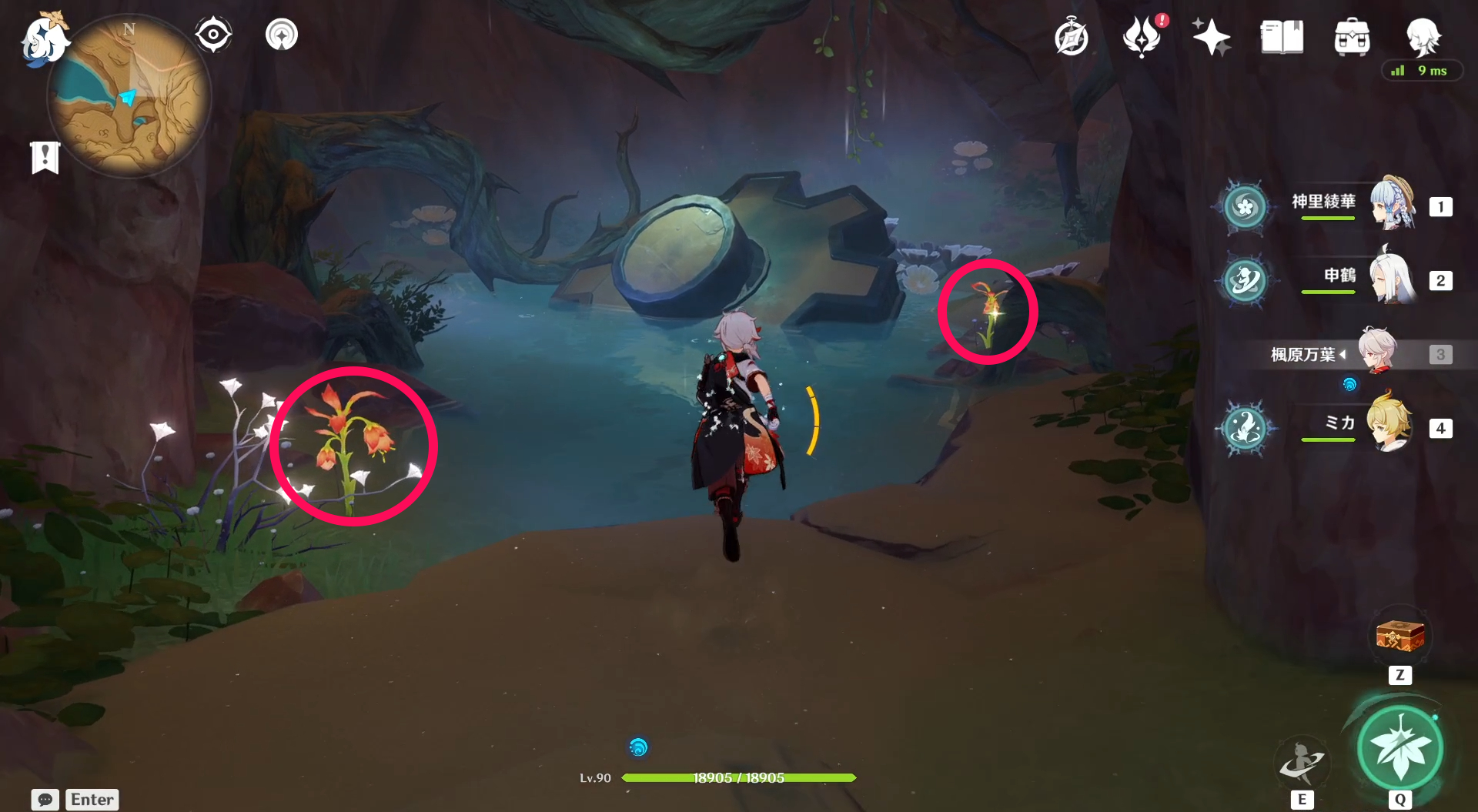 Genshin Impact | Mourning Flower Location & Farm Routes - GameWith