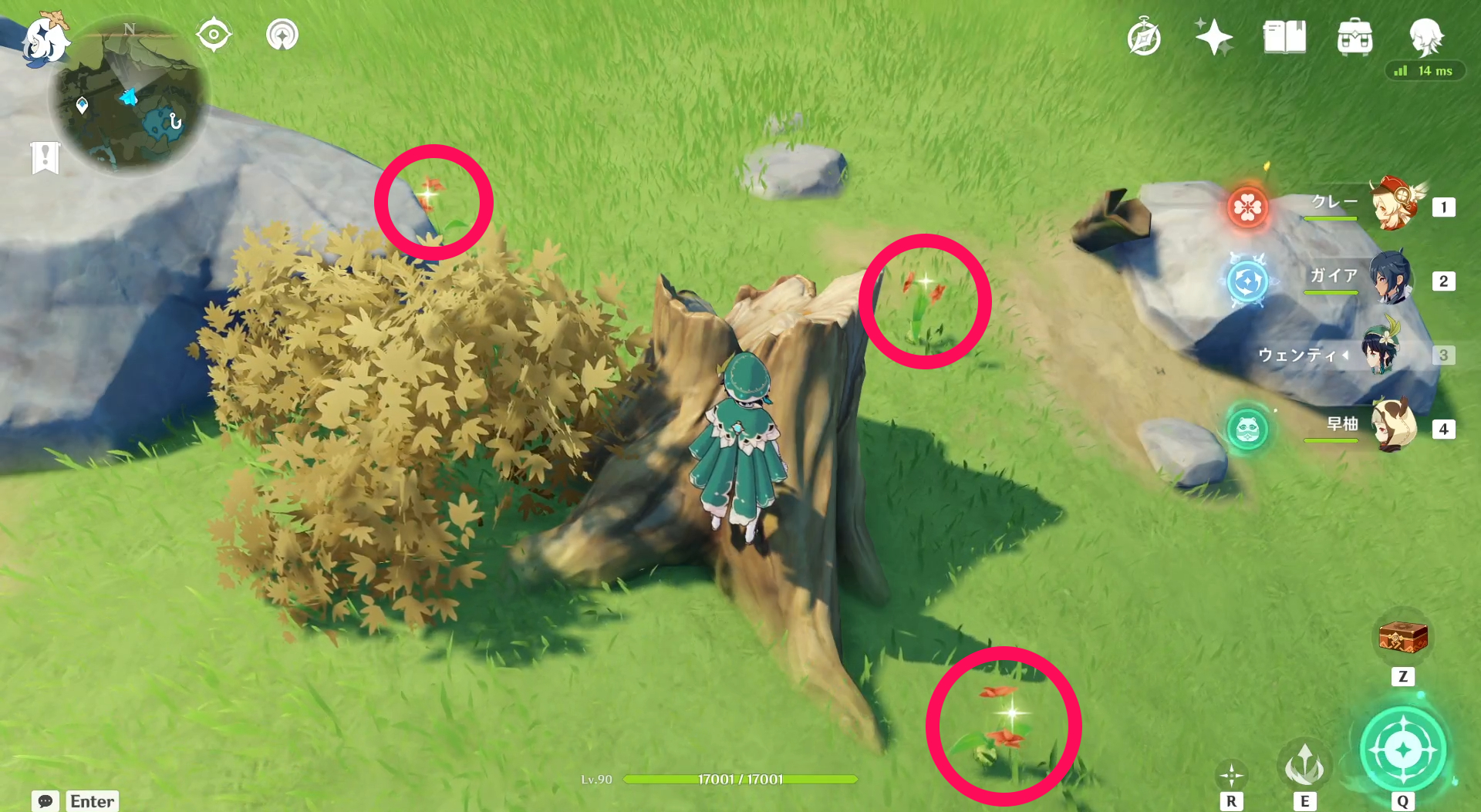 Genshin Impact | Windwheel Aster Location & Farming Route - GameWith