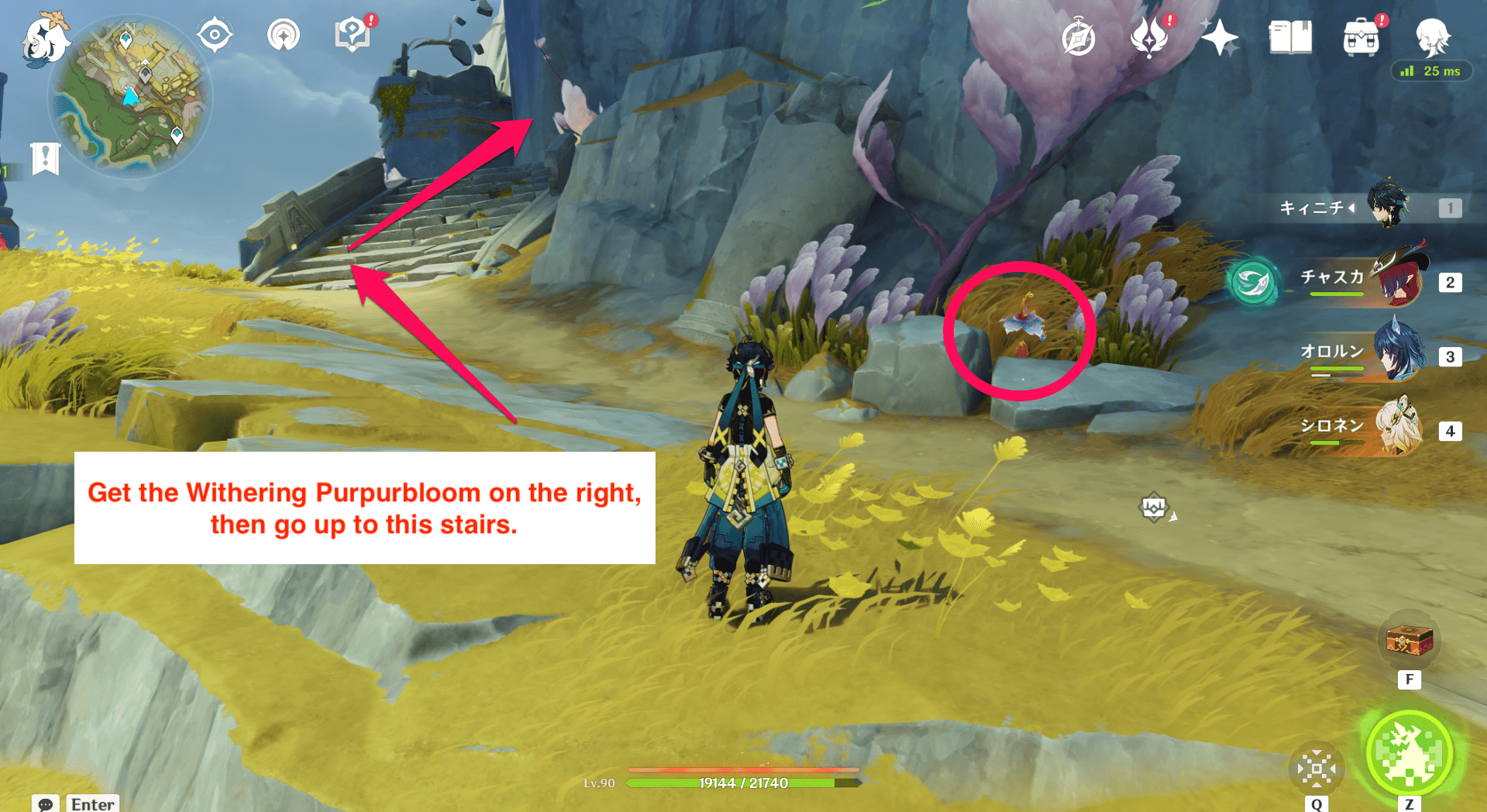 Genshin Impact | Withering Purpurbloom Location & How To Get - GameWith