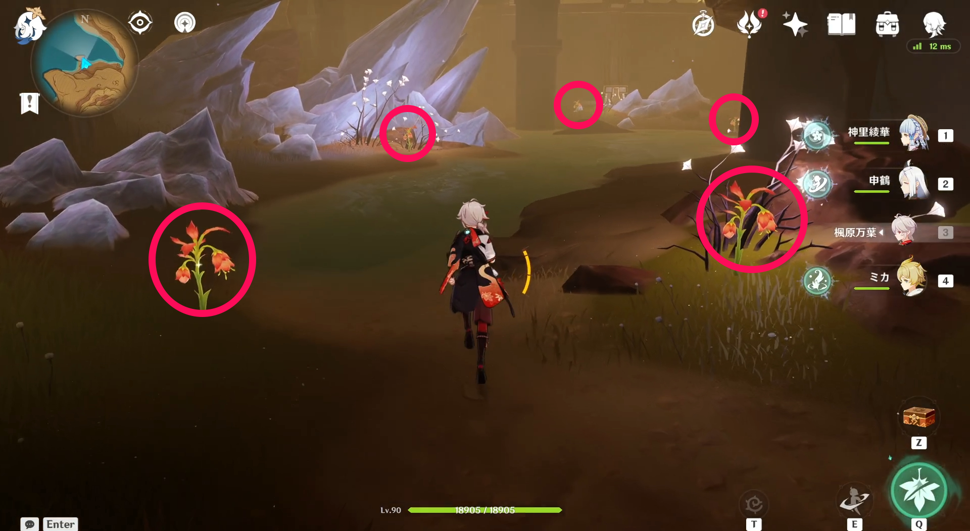 Genshin Impact | Mourning Flower Location & Farm Routes - GameWith