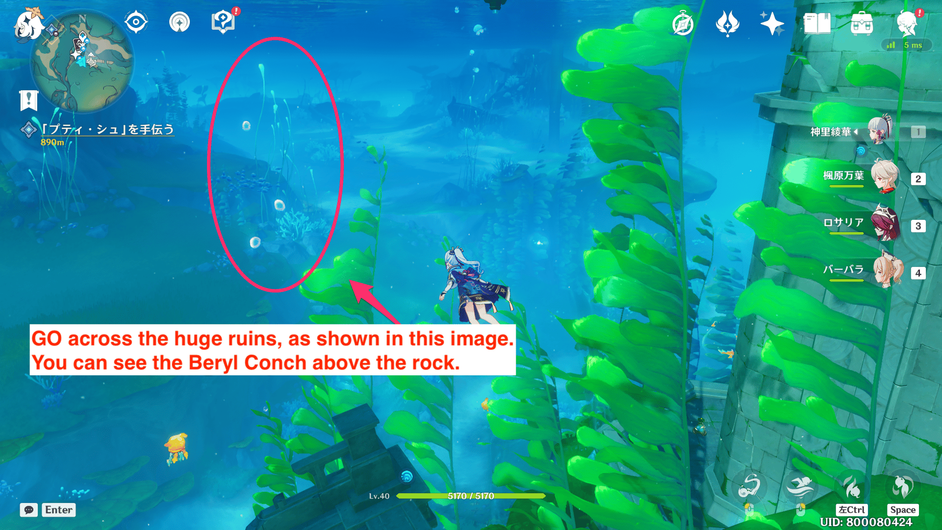 Genshin Impact | Beryl Conch Location & How To Get - GameWith